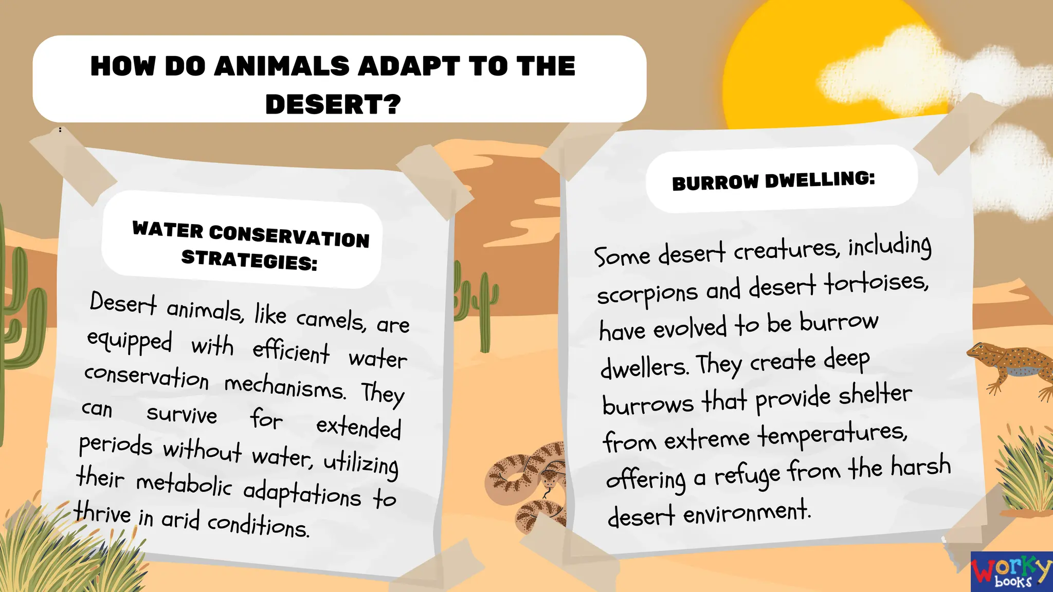 Explore What Animals Live in the desert.pdf