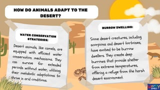 Explore What Animals Live in the desert.pdf