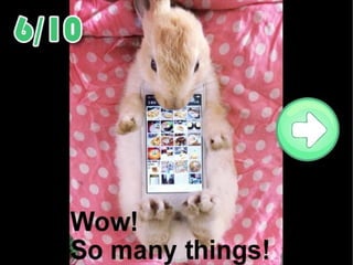 What Animals Do on Their Mobile Phones | ODP