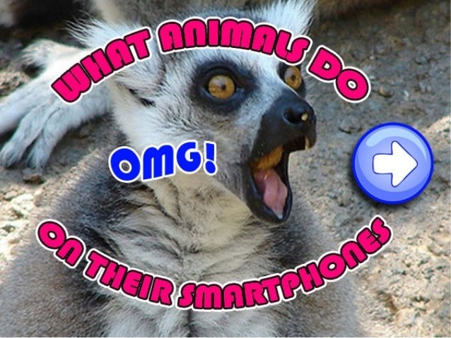 What Animals Do on Their Mobile Phones