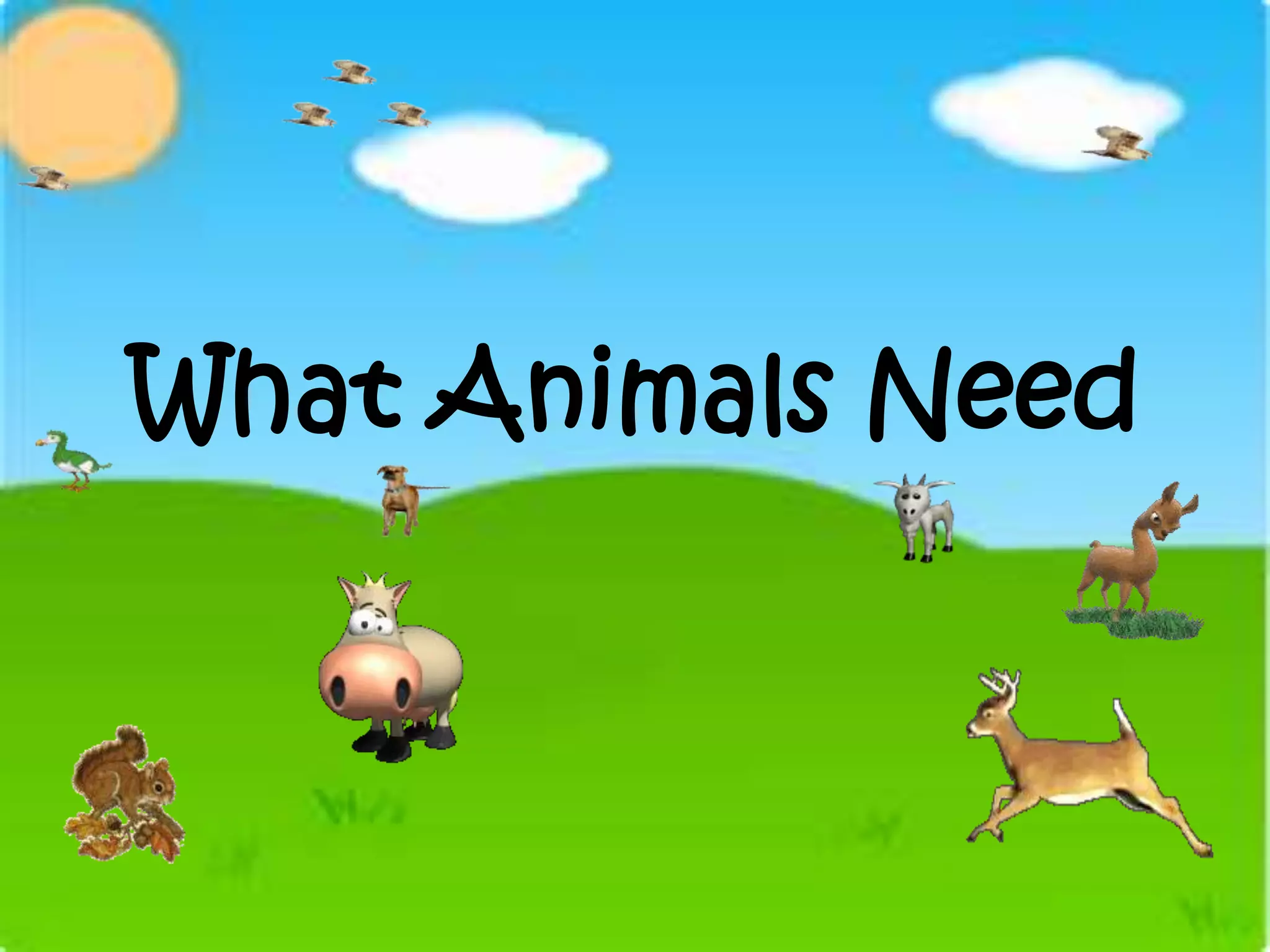 What animals need | PPTX