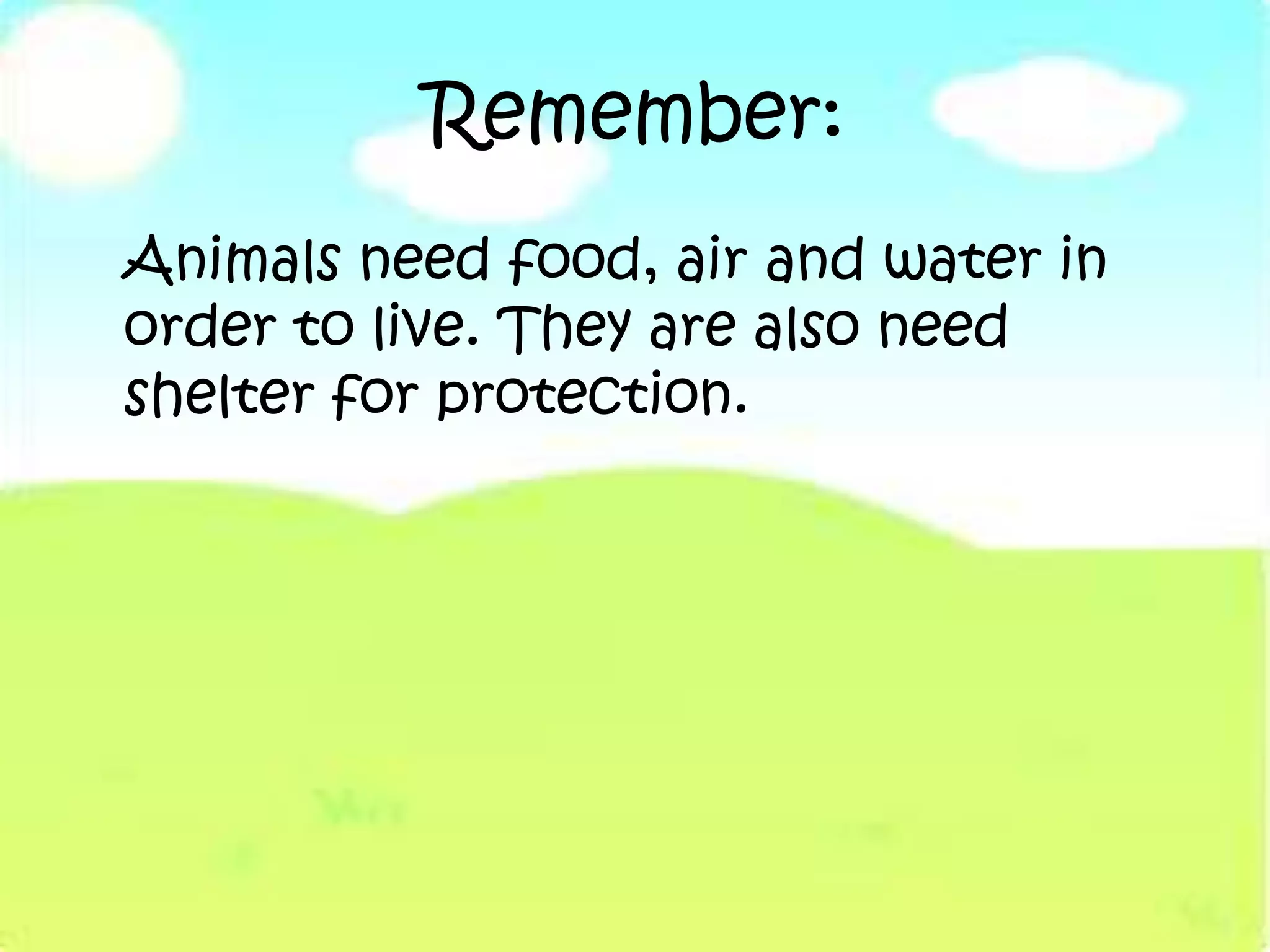 What animals need | PPTX