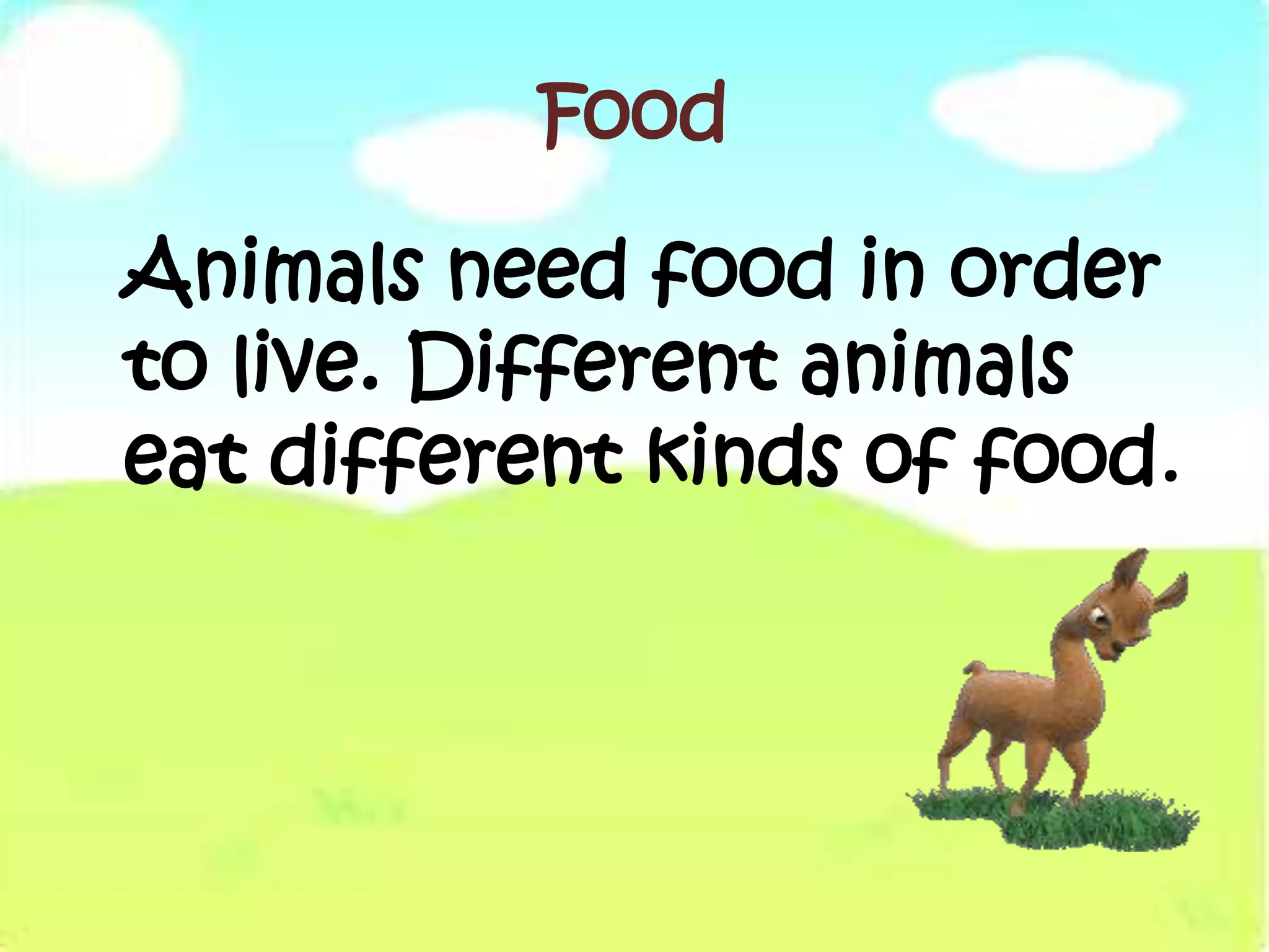 What animals need | PPTX