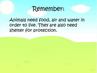 What animals need | PPTX