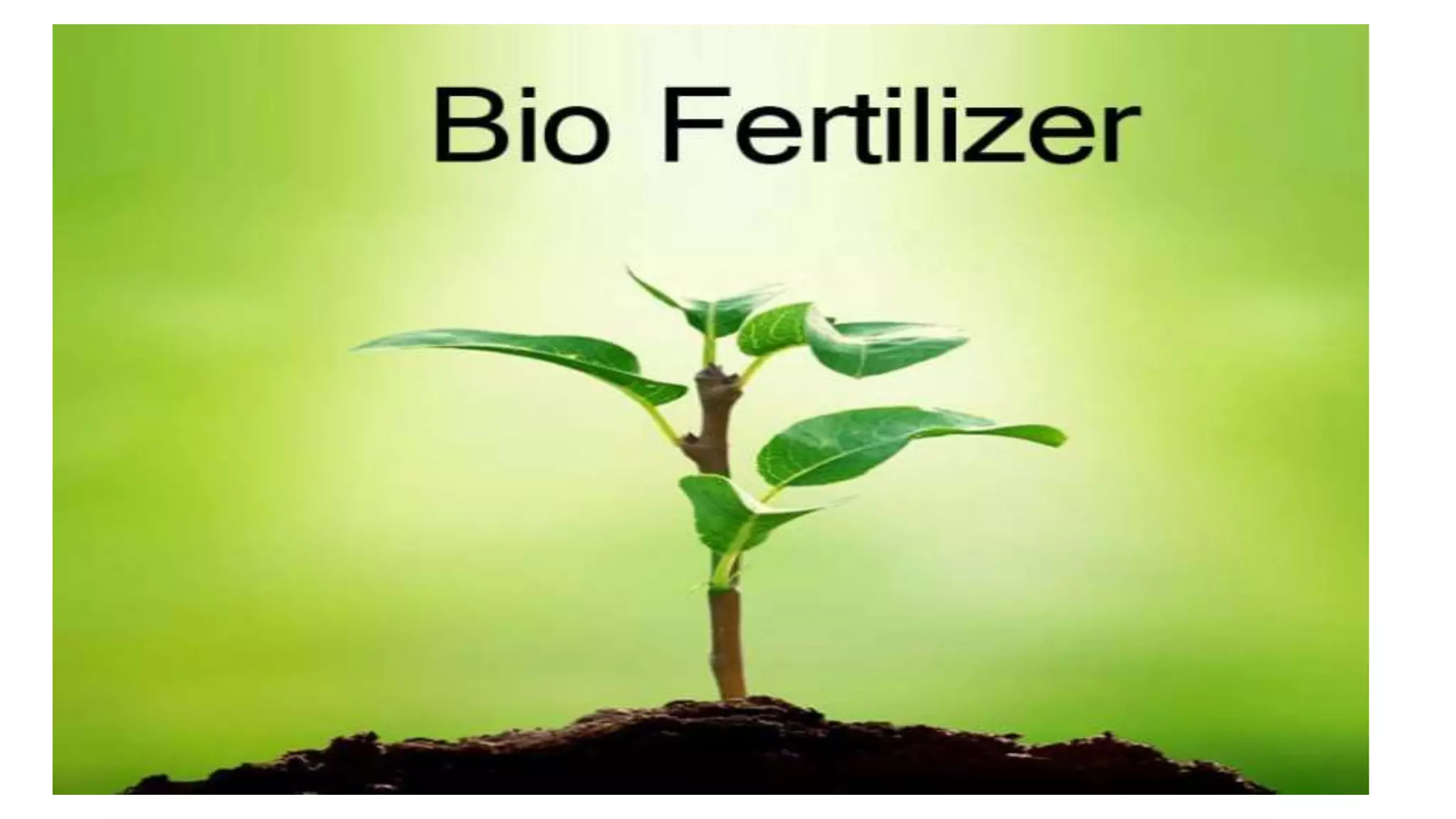 What Are Biofertilizers? | PPT