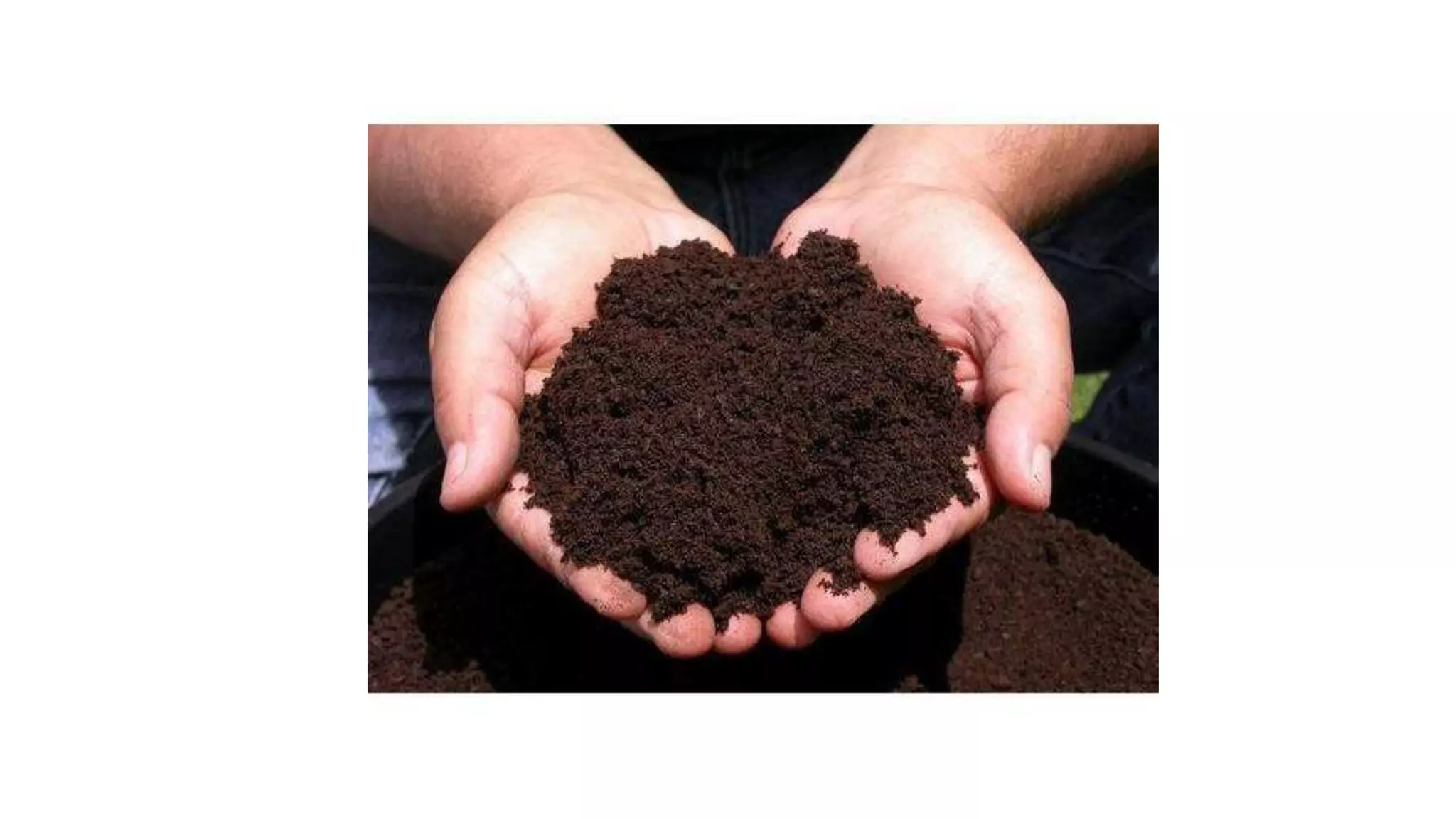 What Are Biofertilizers? | PPT