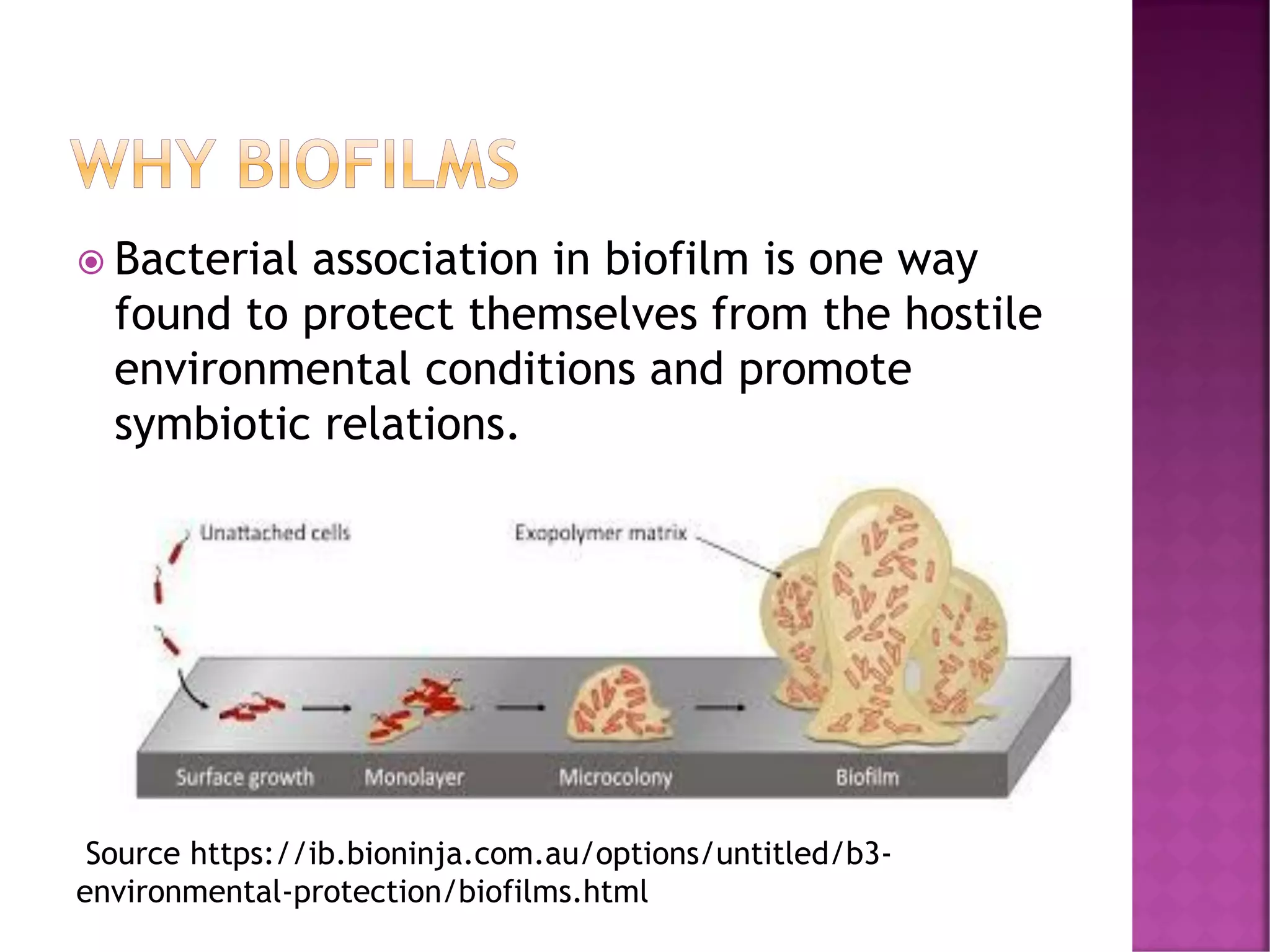 What are biofilms formation | PDF