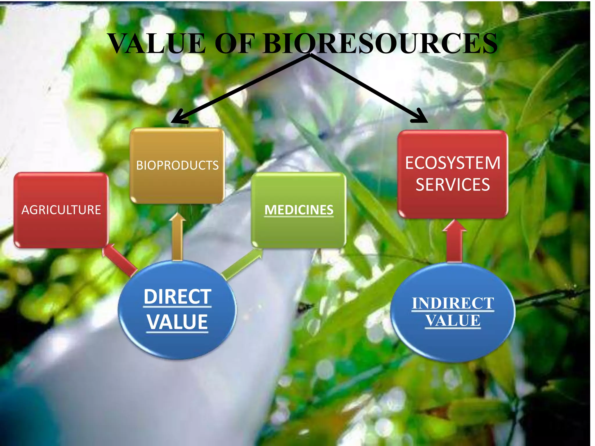 What are bioresources | PPTX