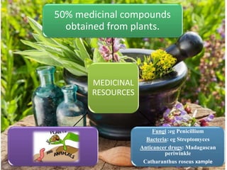 What are bioresources | PPTX