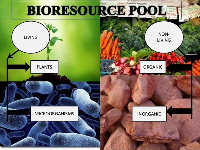 What are bioresources