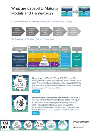 What are capability maturity models & why are they Important? | PDF