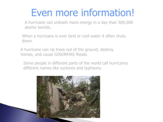 What are causes and effects of a hurricane | PPTX