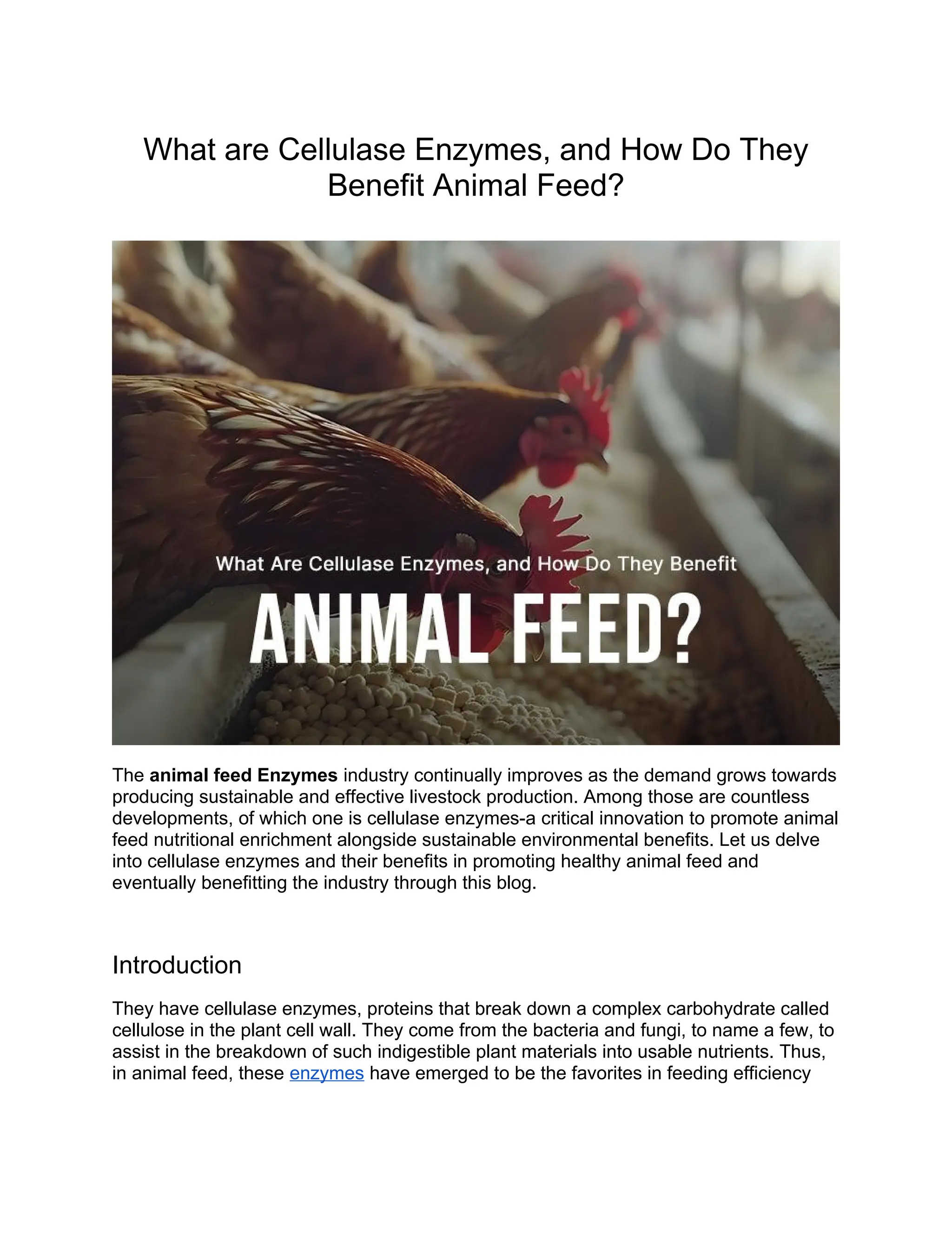 What are Cellulase Enzymes, and How Do They Benefit Animal Feed.docx
