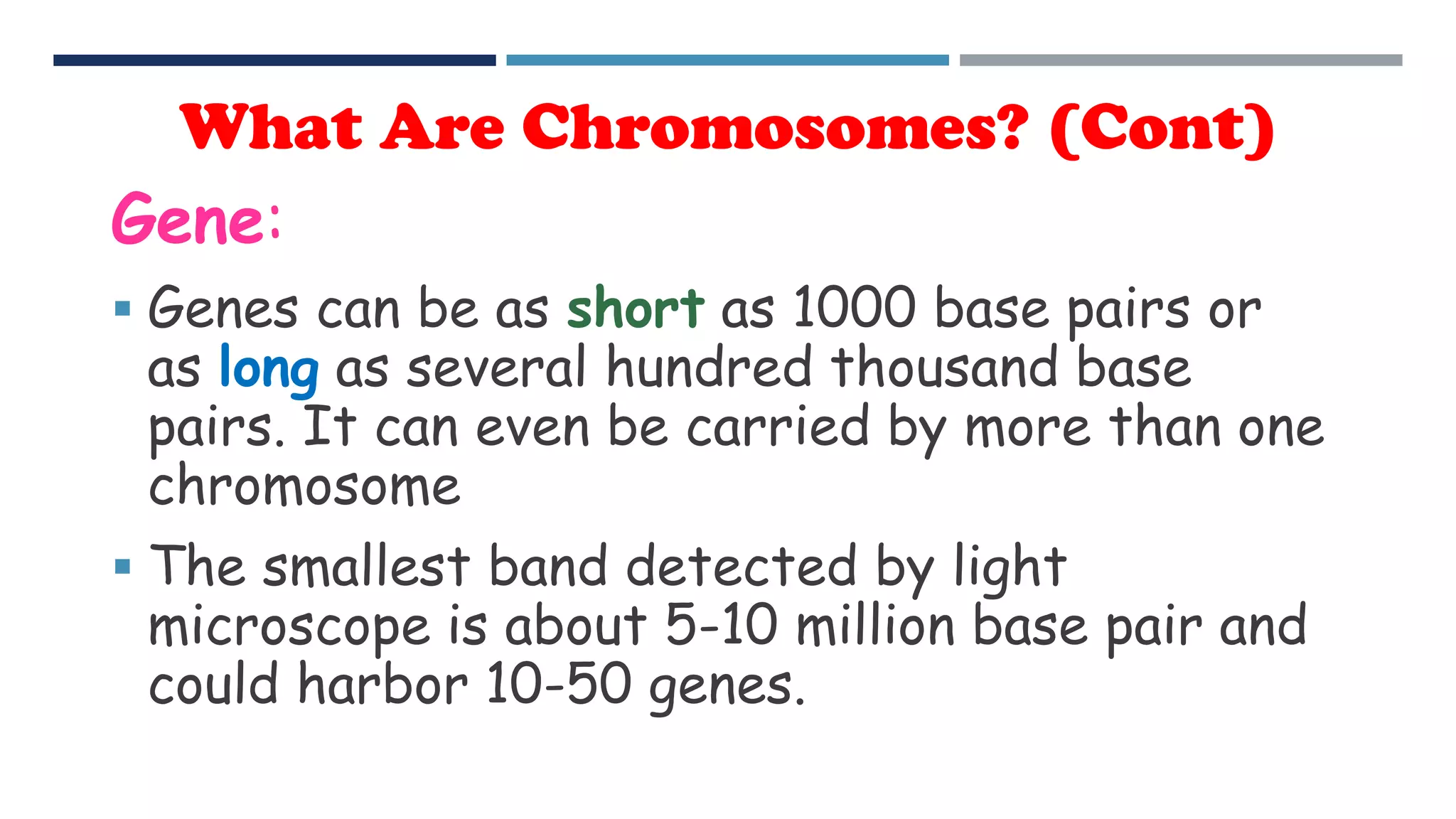 What are Chromosomes ? | PPT