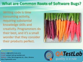 What are Common Roots of Software Bugs? | PPTX | Computer Software and ...