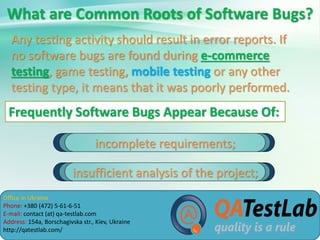 What are Common Roots of Software Bugs? | PPTX | Computer Software and ...