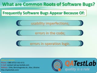 What are Common Roots of Software Bugs? | PPTX | Computer Software and ...