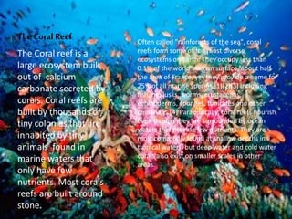 Coral reefs | PPT