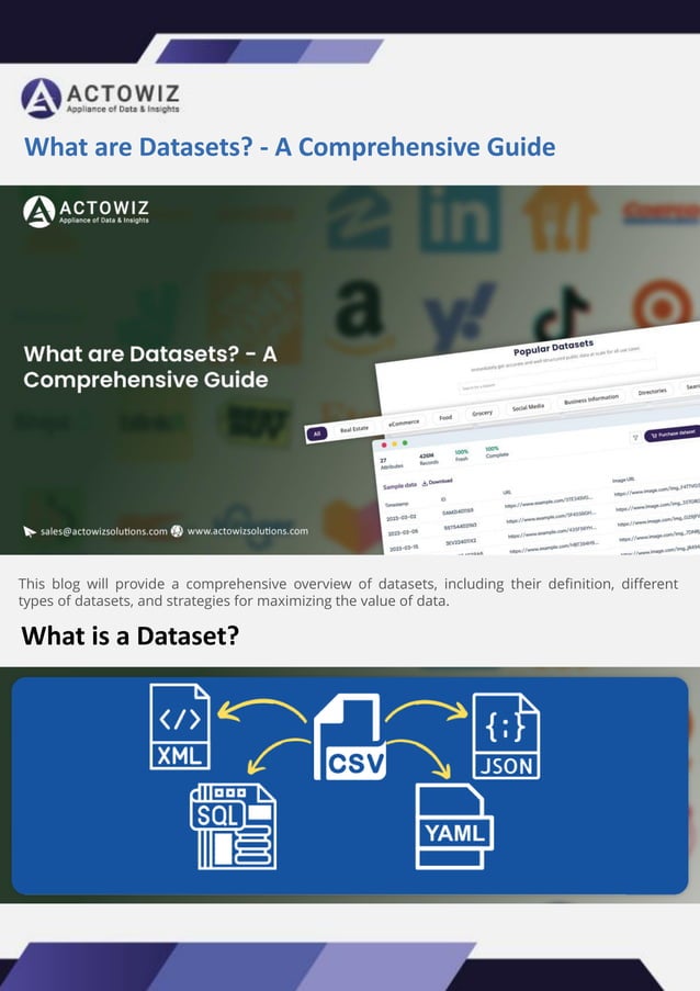 What are Datasets - A Comprehensive Guide (1).pdf