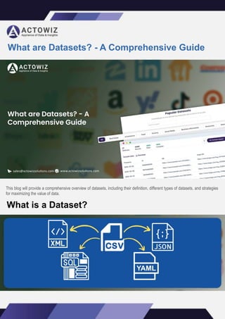 What are Datasets - A Comprehensive Guide (1).pptx