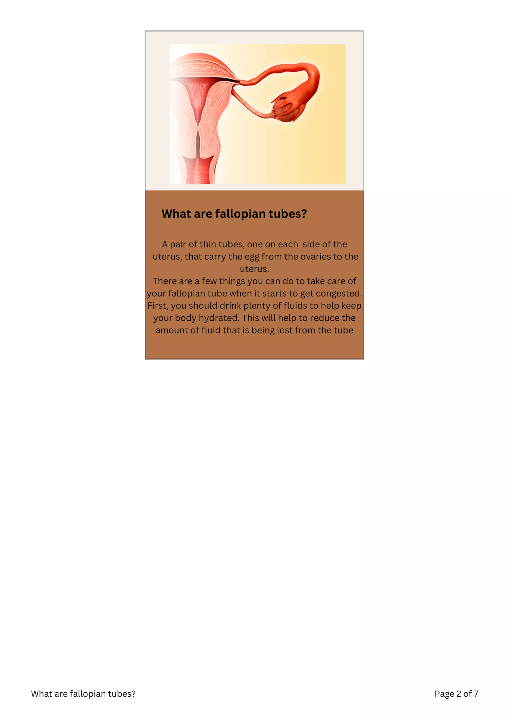 What are fallopian tubes.pdf | Infertility | Reproductive Health