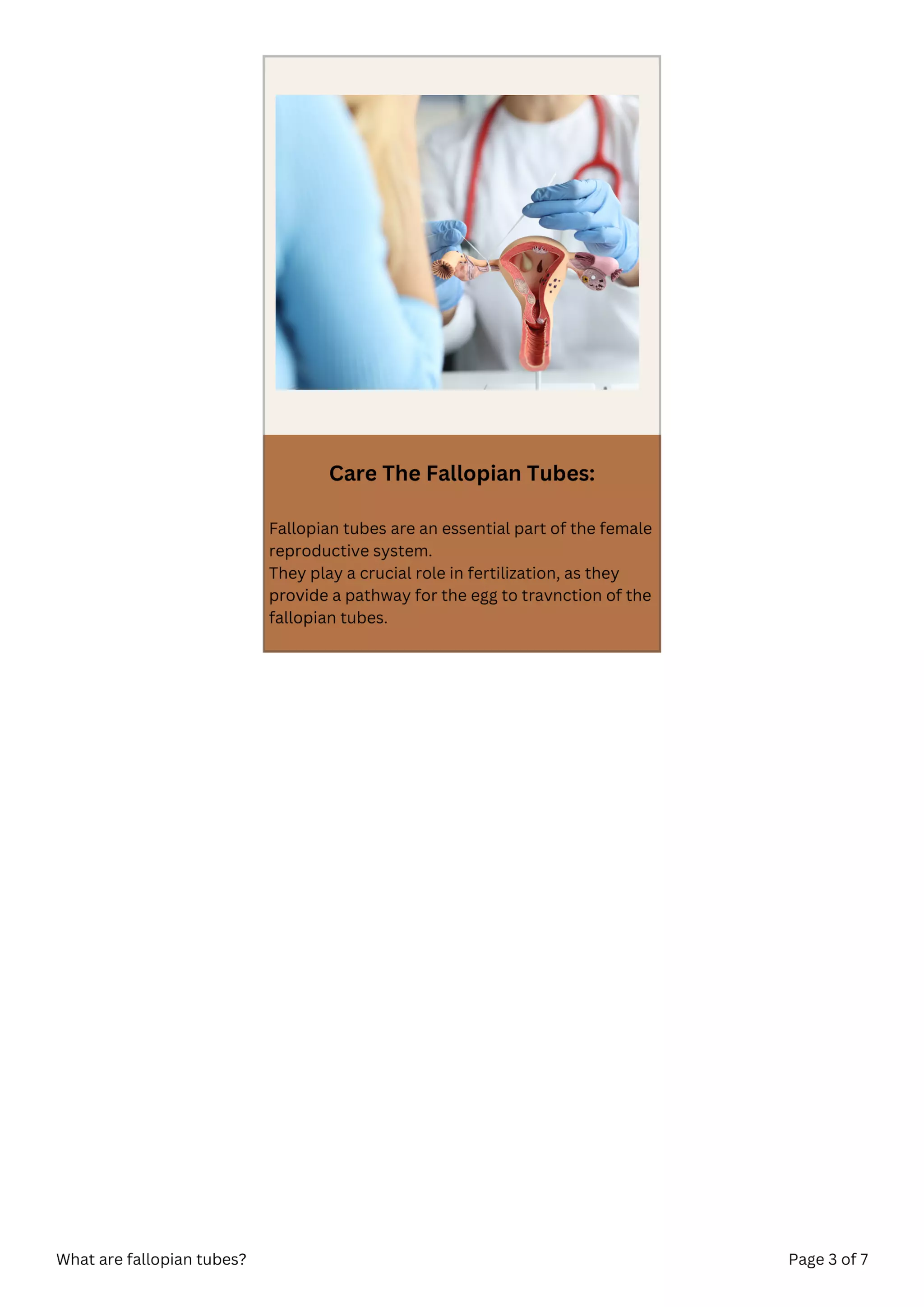 What are fallopian tubes.pdf | Infertility | Reproductive Health