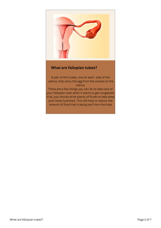 What are fallopian tubes.pdf