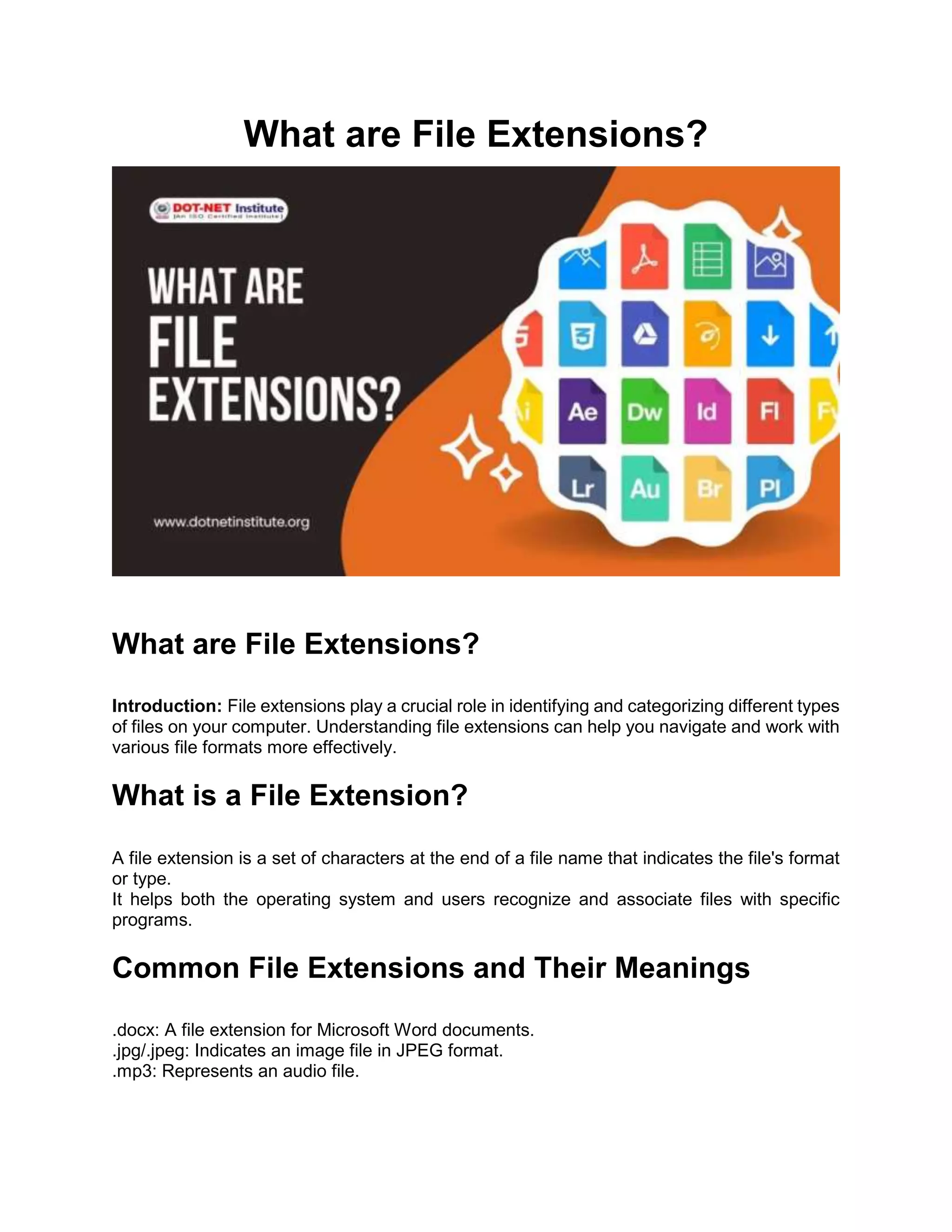 What are File Extensions.docx