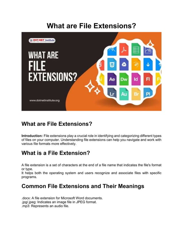 What are File Extensions.docx