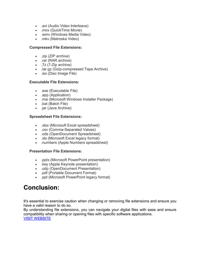 What are File Extensions.docx