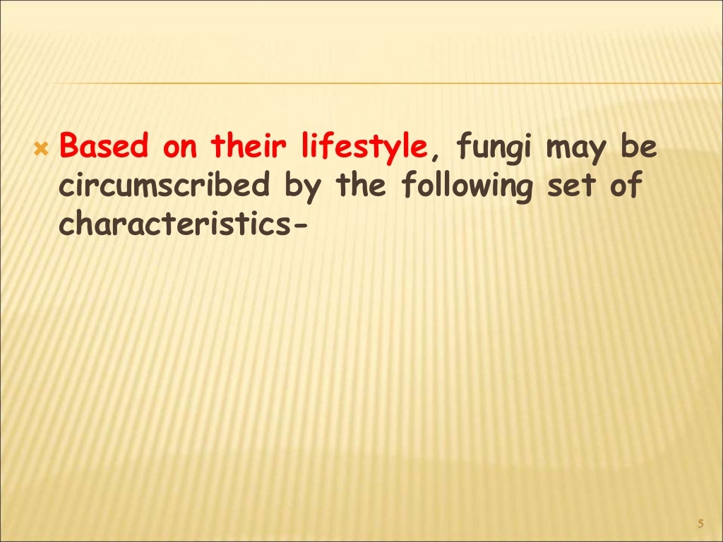 What Are Fungi what-are-fungi