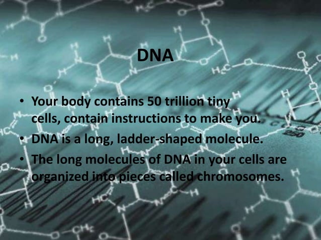 What are genes | PPTX