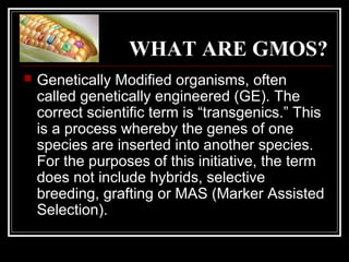 What are GMOs | PPT