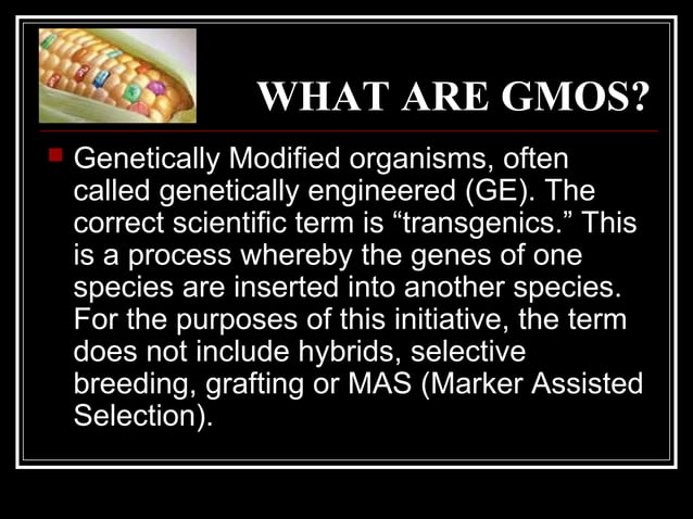 What are GMOs | PPT