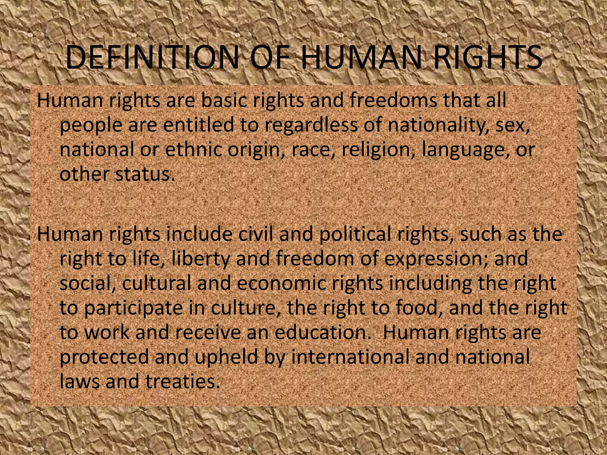 What Are Human Rights | PPTX