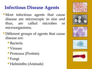 What are Infectious Diseases and Its Types | PPTX