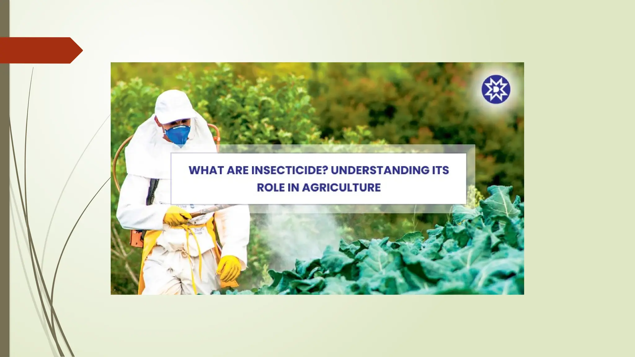 What are insecticides? Understanding its Role in Agriculture | PPT