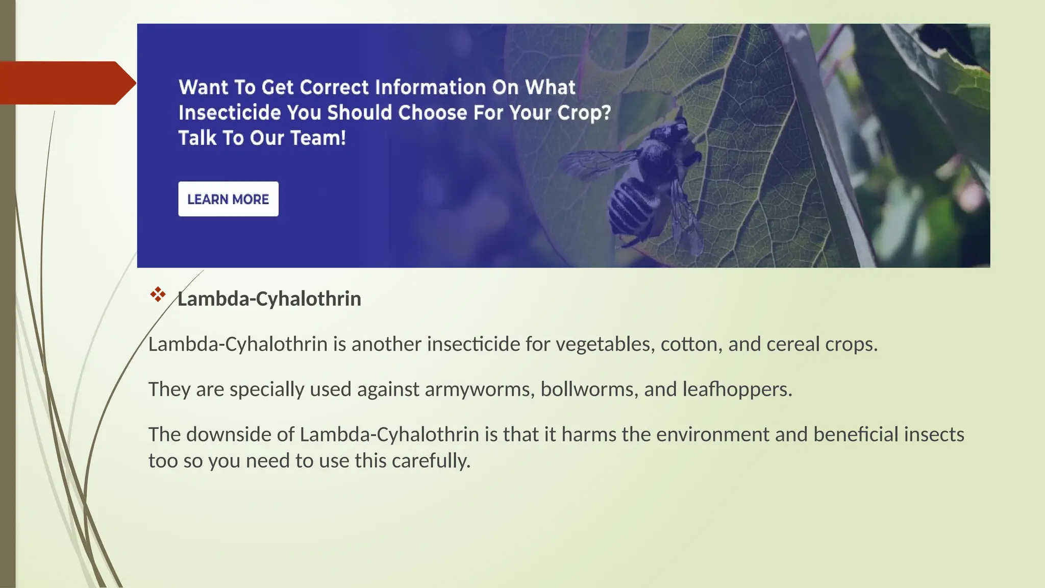 What are insecticides? Understanding its Role in Agriculture | PPT