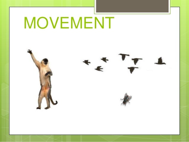 Characteristics Of Living Things