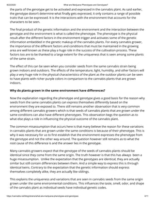 What are Marijuana Phenotypes and Genotypes?