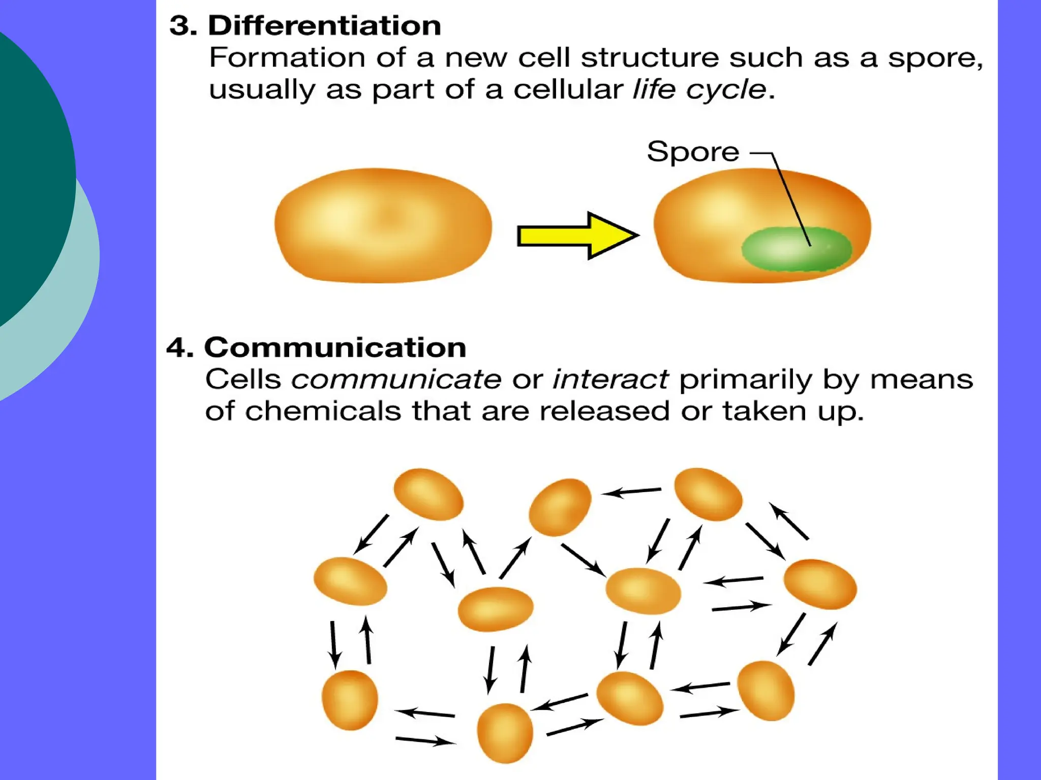 WHAT ARE MICROBES guide and lessons.pptx