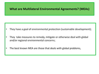 What are multilateral environmental agreements | PPTX