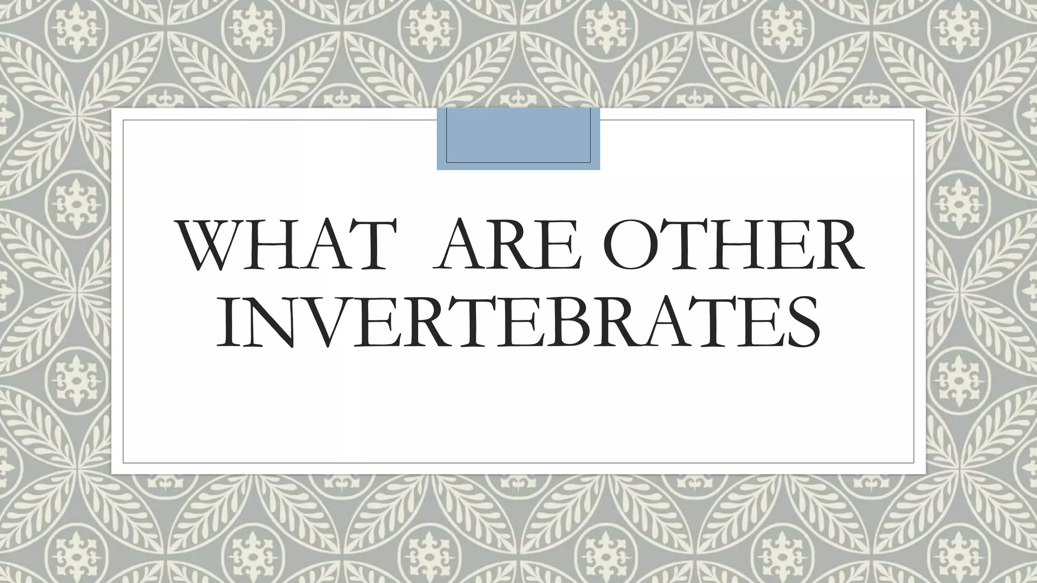 What are other invertebrates - 4th grade | PPTX