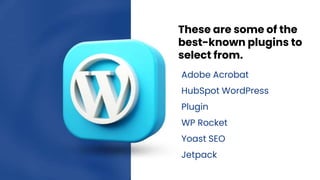 What Are Plugins | PPTX | Web Development | Internet