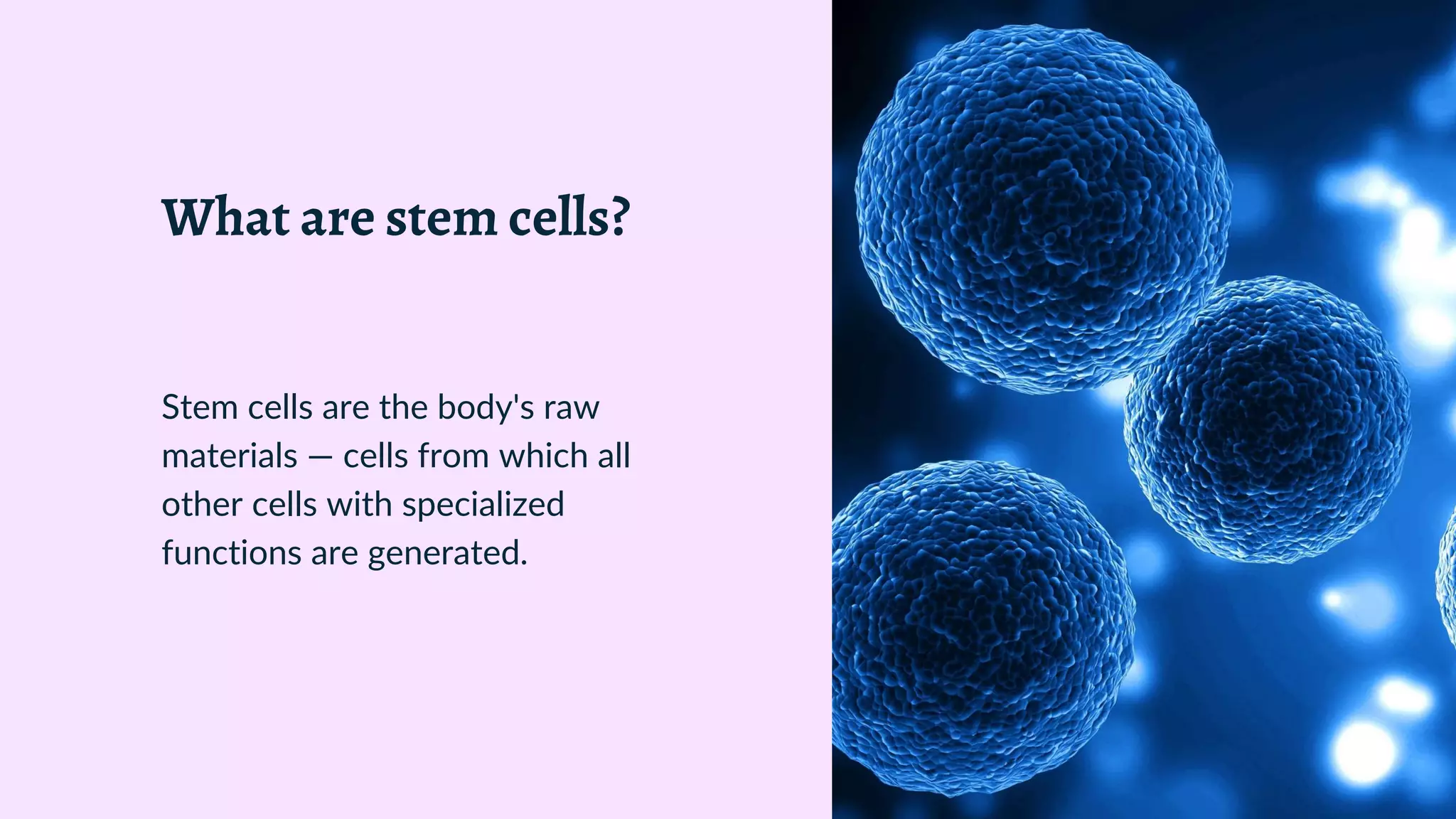 What are R3 stem cells and what do they do Dr David Greene Arizona.pptx
