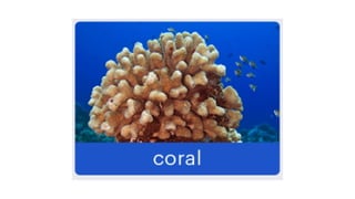 What are Rocks Introduction to learning about rocks | PPTX | Geology ...