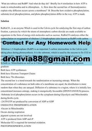 What are rubisco and RuBP And what do they do Briefly list 4 simil.pdf ...