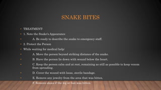 What are snake bites | PPTX