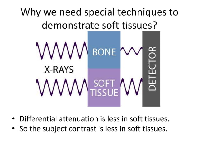 soft tissue radiography | PPTX