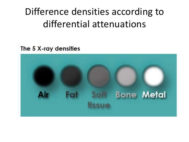 soft tissue radiography